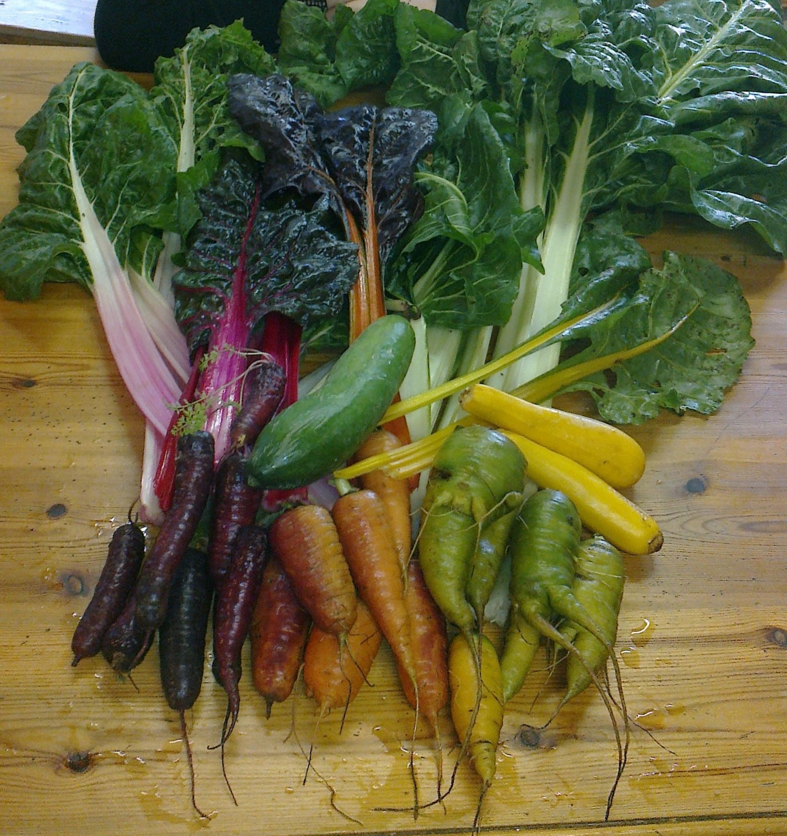 Organic Farm Produce – New House Farm